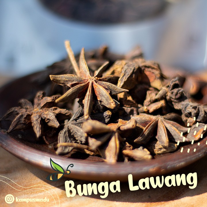 Jual Bunga Lawang Pekak Rempah Star Anise | Shopee Indonesia