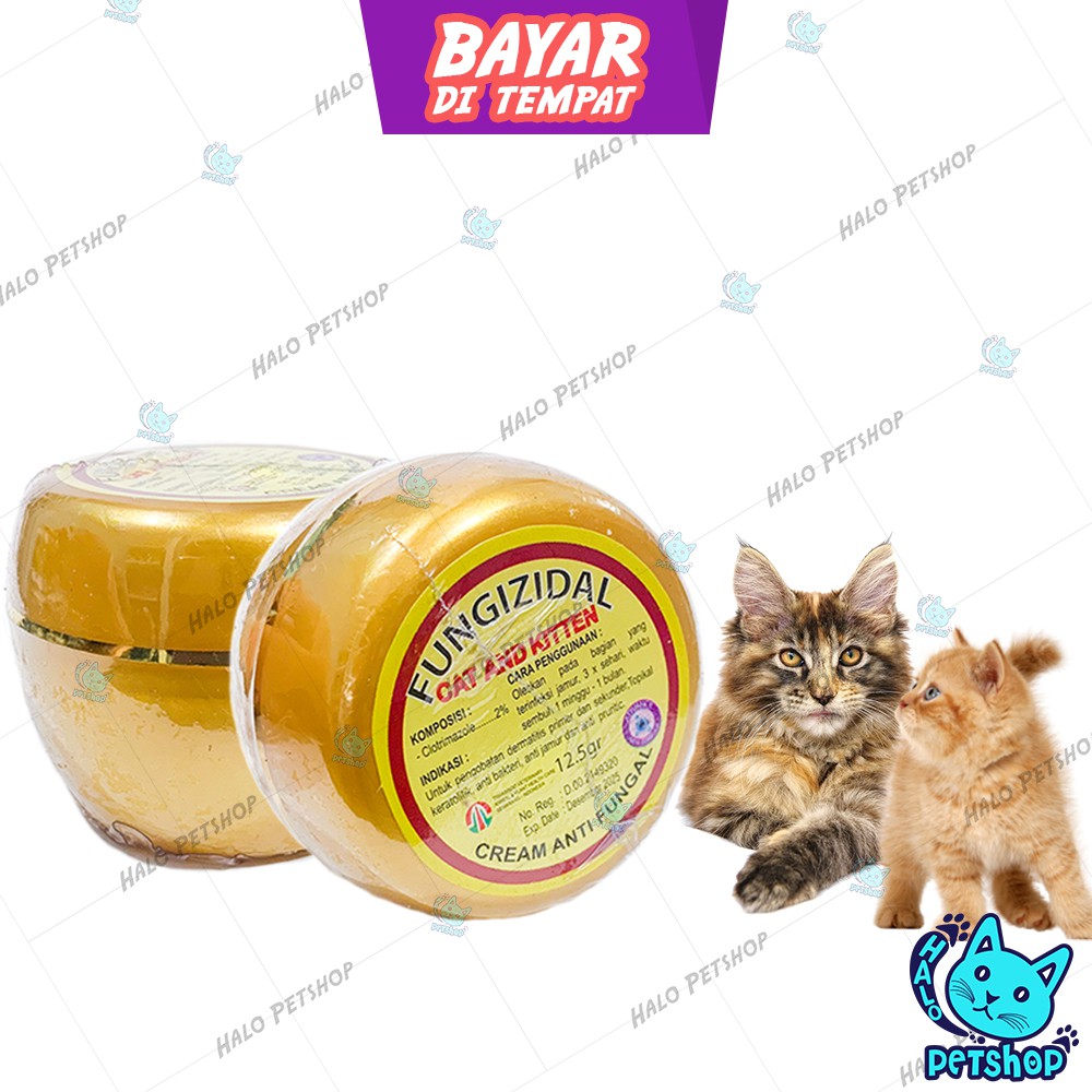 Jual FUNGIZIDAL 12.5gr Cream Salep Anti Jamur Bakteri Fungi Pada Kucing ...