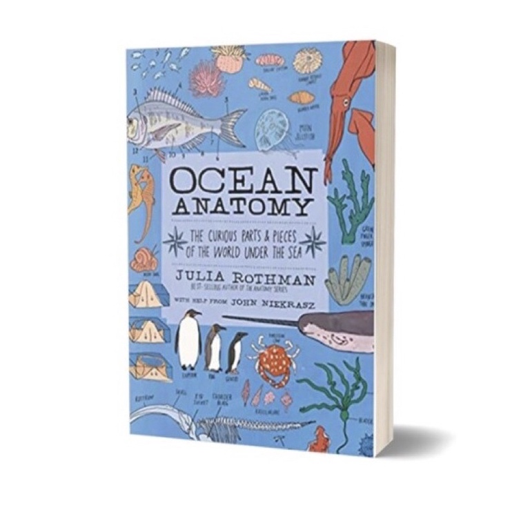 Jual Ocean Anatomy | Shopee Indonesia