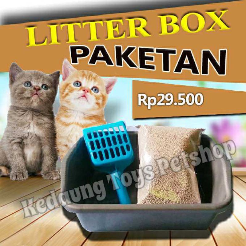 Jual Paket bak pasir kucing cat litter box untuk kitten dan bayi kucing ...