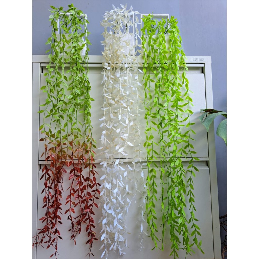 Jual dnd/BUNGA GJL + POT SUMUR / bunga juntai/ bunga rambat/ bunga ...