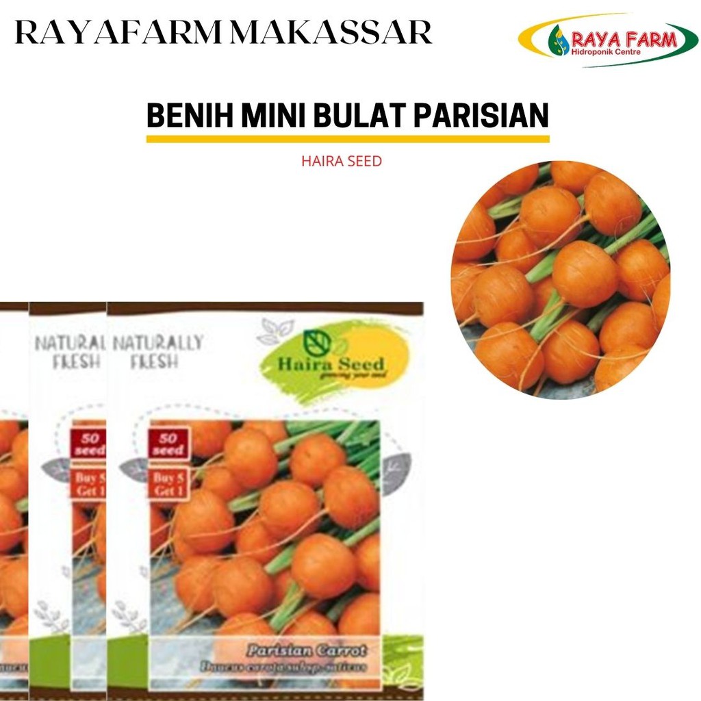 Jual BENIH BUAH WORTEL MINI BULAT PARISIAN | Shopee Indonesia