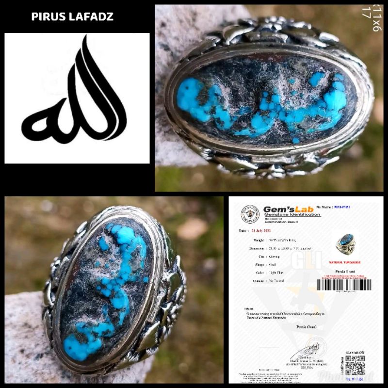 Jual NATURAL PIRUS PERSIA KUNO NGERIKIL ( GAMBAR LAFADZ ) | Shopee ...