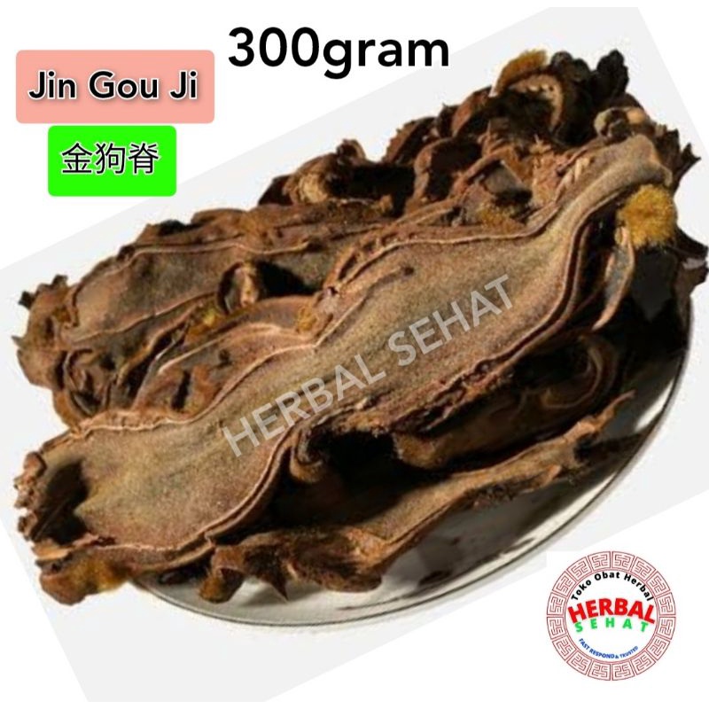 Jual 250 gram - Jin Mao Gou Ji / Jin Gou Ji / Gouji - Rhizoma Cibotii ...