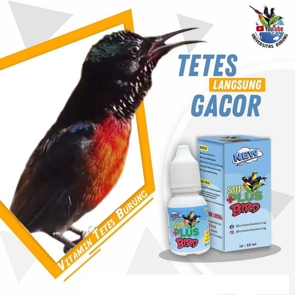 Jual Sup plus bird | Vitamin burung kolibri | Shopee Indonesia