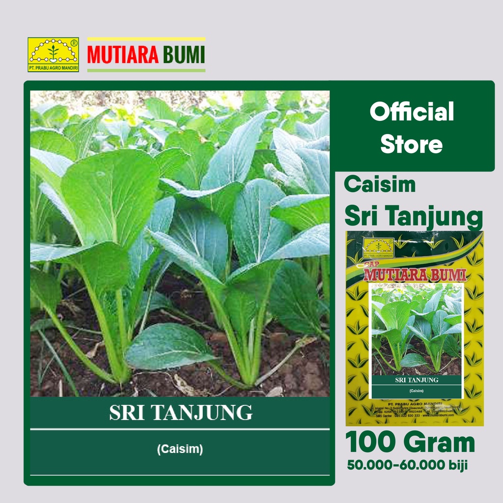 Jual BENIH CAISIM SRI TANJUNG 100 GRAM ISI 50.000-60.000 BIJI ORIGINAL ...