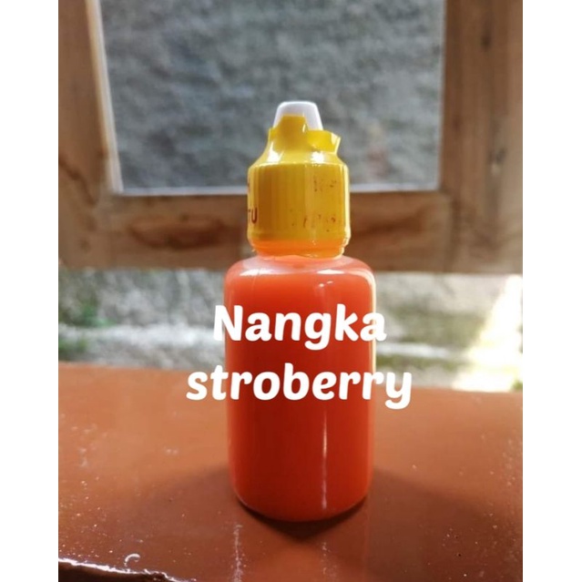 Jual essen oplosan nangka stroberry 30ml spesial ikan mas/patin/lele ...