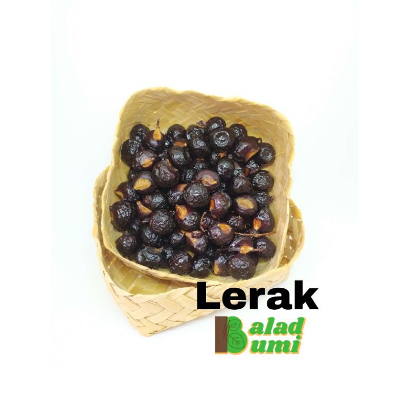 Jual Buah Lerak Sabun Organik 500 gram | Shopee Indonesia