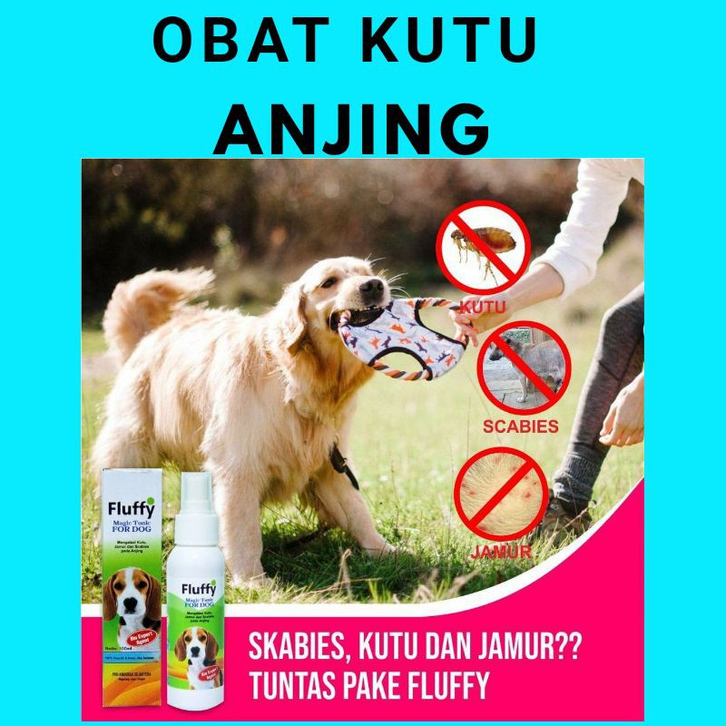 Jual OBAT KUTU SCABIES ANJING | Shopee Indonesia