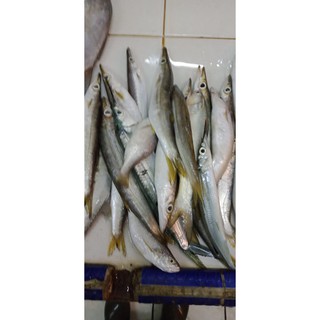 Jual Ikan Kacang-Kacang | Shopee Indonesia