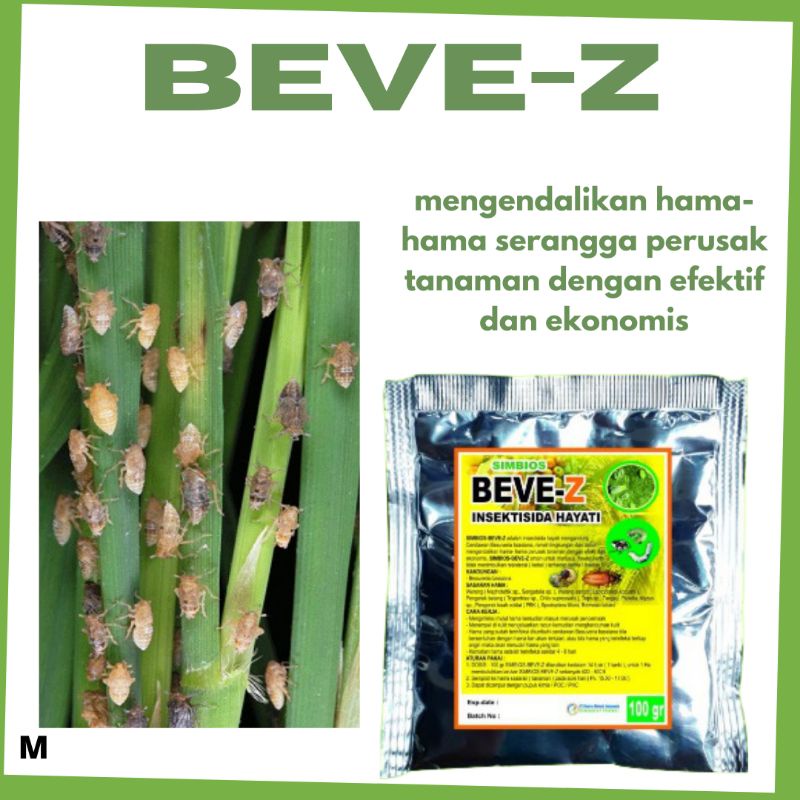 Jual Pembasmi Hama Tanaman Bunga Kutu Thrips, Insektisida Hama Kutu ...