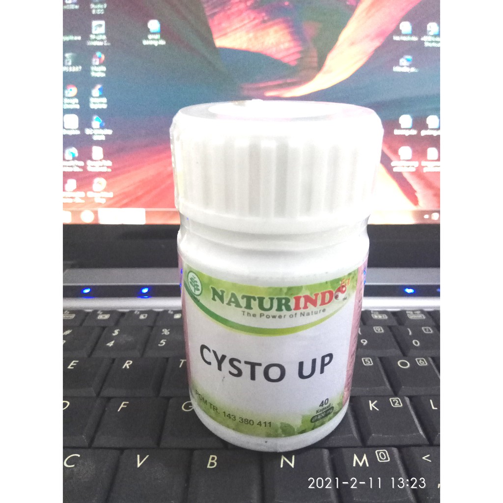 Jual Obat Herbal CYSTO UP Naturindo (Spesial Myom & Kista) | Shopee ...
