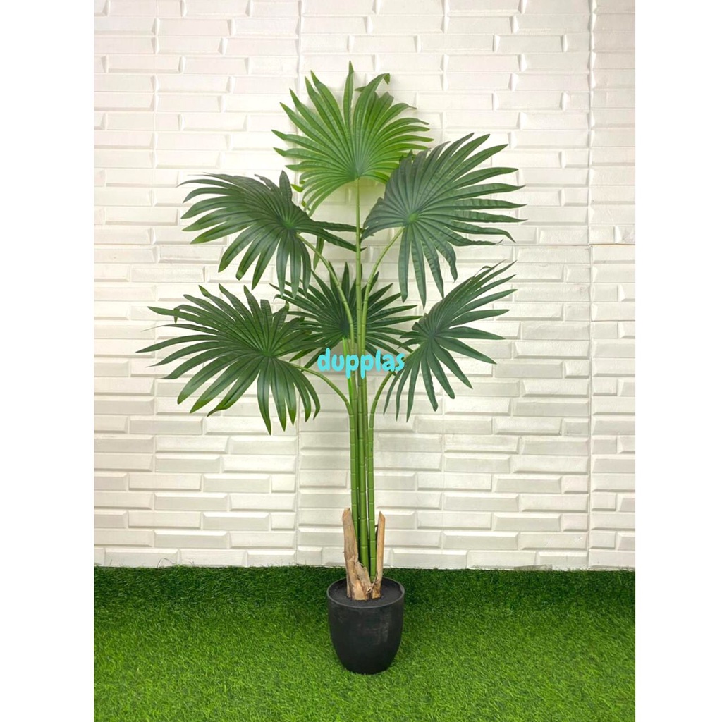 Jual Pohon Artificial Daun Palem Kipas Sadeng T130 Latex Pot Dasar ...
