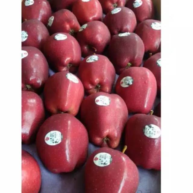Jual Buah apel merah usa | Shopee Indonesia