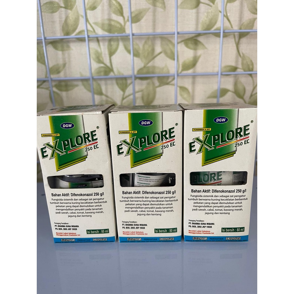 Jual FUNGISIDA & ZPT EXPLORE DGW | Shopee Indonesia