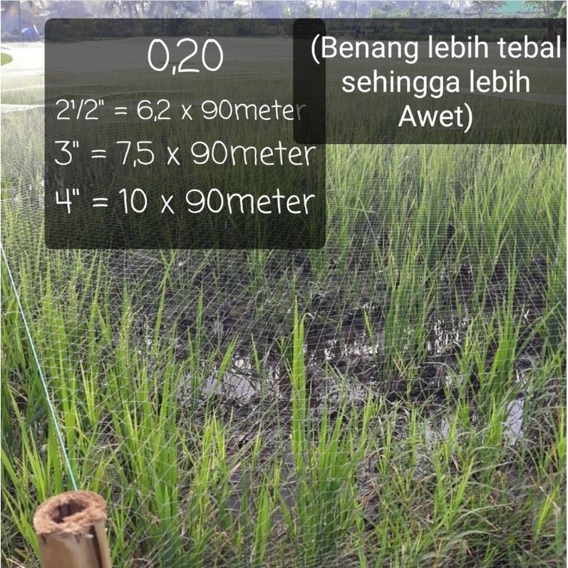 Jual 0,20 100 MD Jaring Padi burung jaring ayam | Shopee Indonesia
