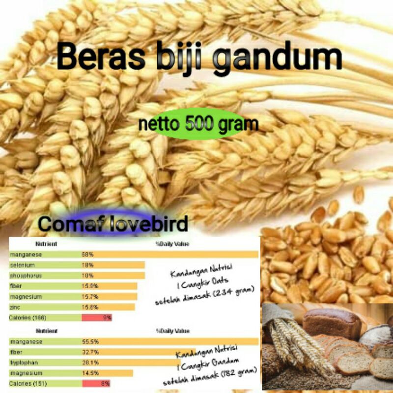 Jual beras biji gandum 1kg | Shopee Indonesia
