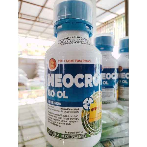 Jual NEOCRON 80OL HERBISIDA SELEKTIF JAGUNG ORIGINAL NIKOSULFURON 80g/l ...