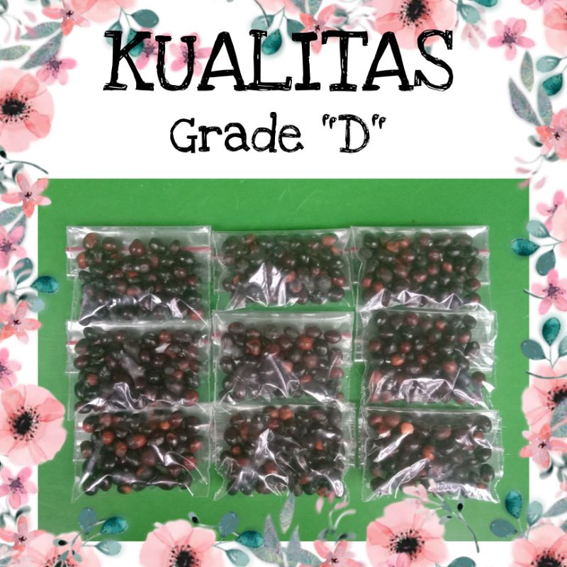 Jual BIJI SAGA / SOGOK TUNTENG / SOGO TELIK / Tanaman obat berkhasiat ...