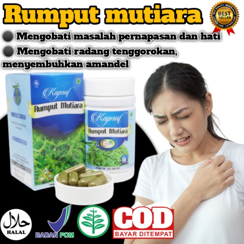 Jual Obat Radang Herbal Alami Rumput Mutiara isi 60 Atasi Gangguan ...