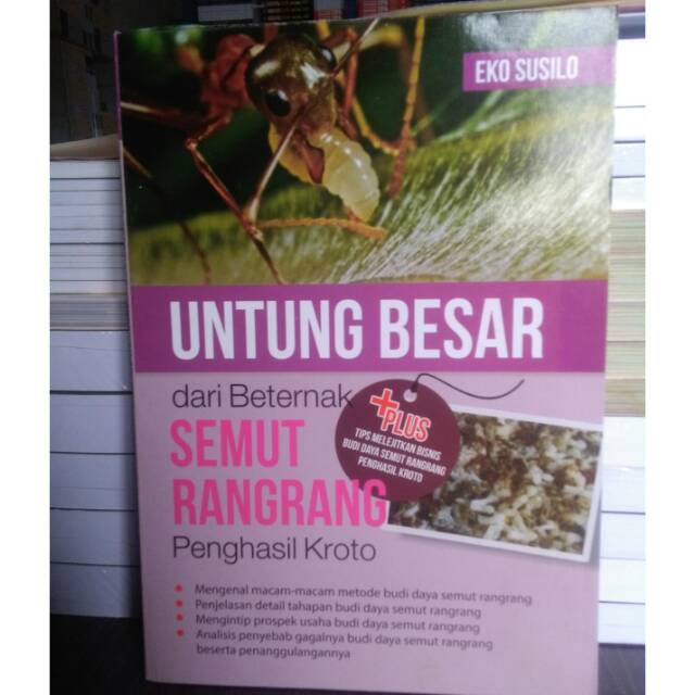 Jual Untung Besar Dari Beternak Semut Rangrang Penghasil Kroto - Eko ...