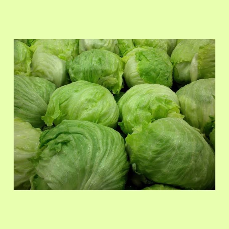 Jual Head lettuce / sayuran selada / lettuce head | Shopee Indonesia