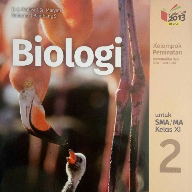 Jual Biologi pratiwi SMA kelas 11 (K13N) Erlangga | Shopee Indonesia