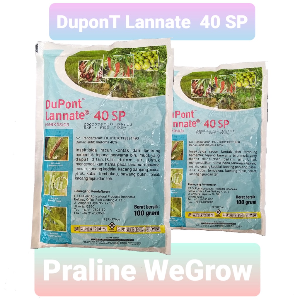 Jual PRODUK- OBAT HAMA TANAMAN DUPONT LANNATE 40 SP 100 GRAM ...