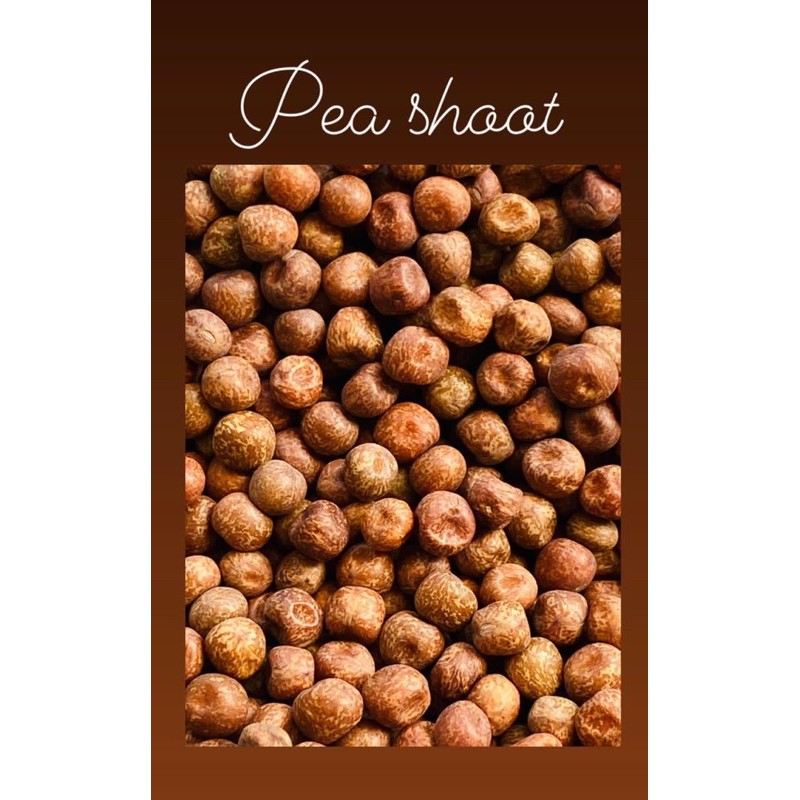 Jual 1kg Pea shoot | Shopee Indonesia