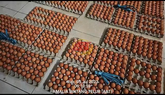 Jual ABT - Telur Ayam Negeri 1 Kg (isi 16-17 butir) Lezat dan Bergizi ...
