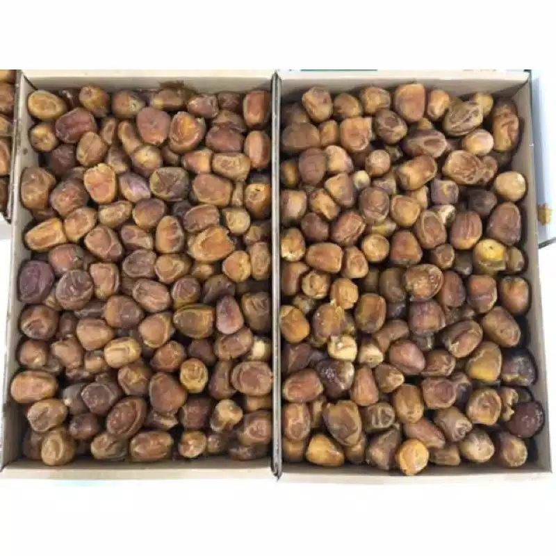 Jual kurma Sukari 1 kg/Sukari basah Al qasim/Sukari 1 kg | Shopee Indonesia