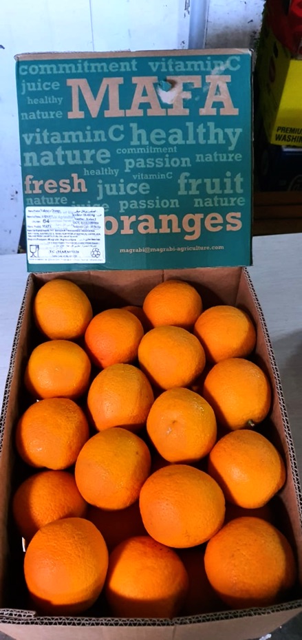 Jual BUAH JERUK ORANGE VALENCIA IMPORT 1KG [HARVEST LINE] | Shopee ...