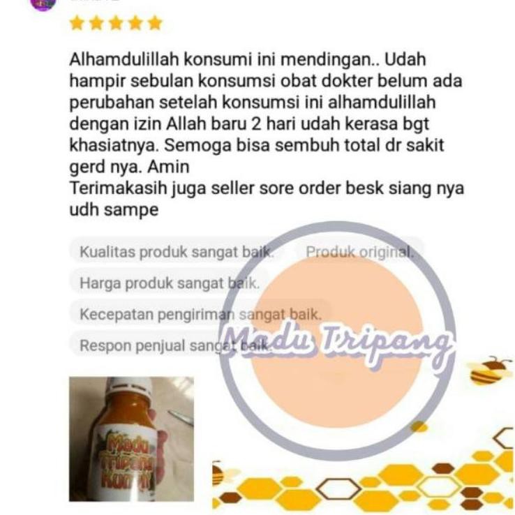 Jual Madu Teripang Kunyit - Tripang Emas Gamat Timun Laut Original 100% ...
