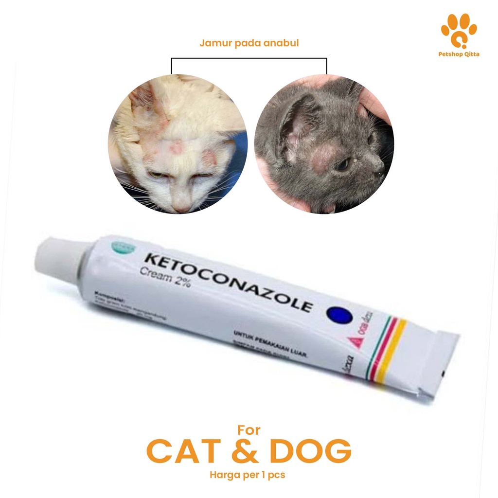Jual obat salep jamur kucing ampuh/salep luka jamur/salep scabies ...