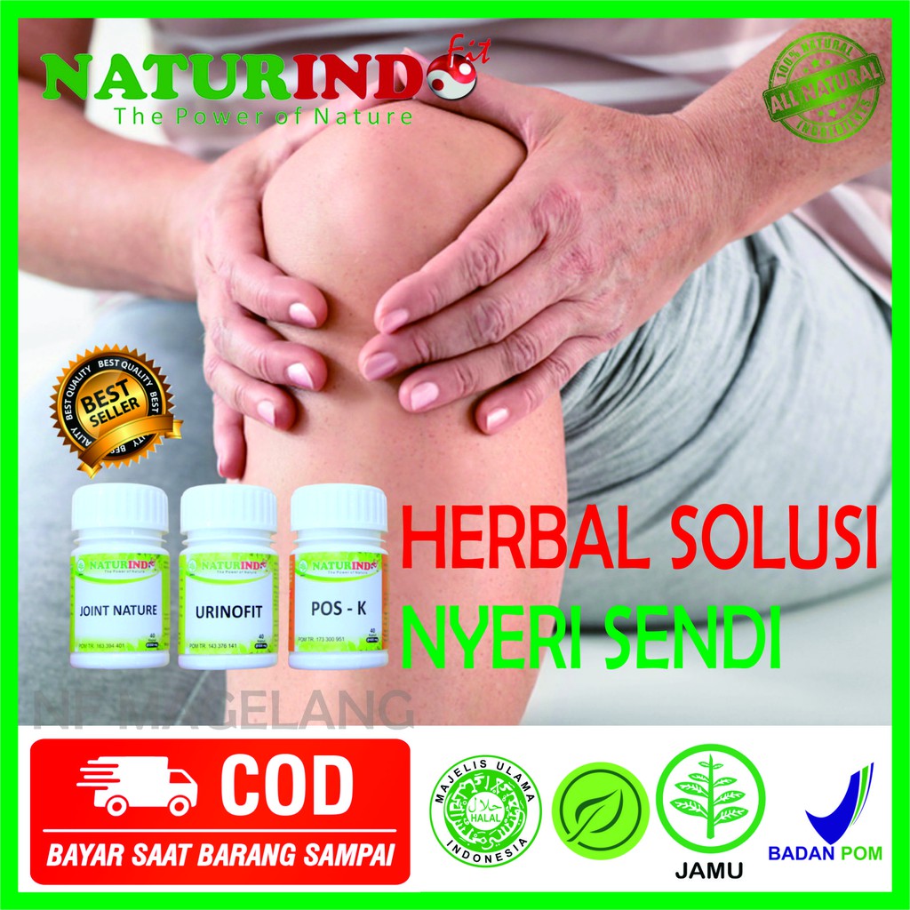 Jual Obat Herbal pengapuran sendi kelebihan zat kapur ngilu tulang ...