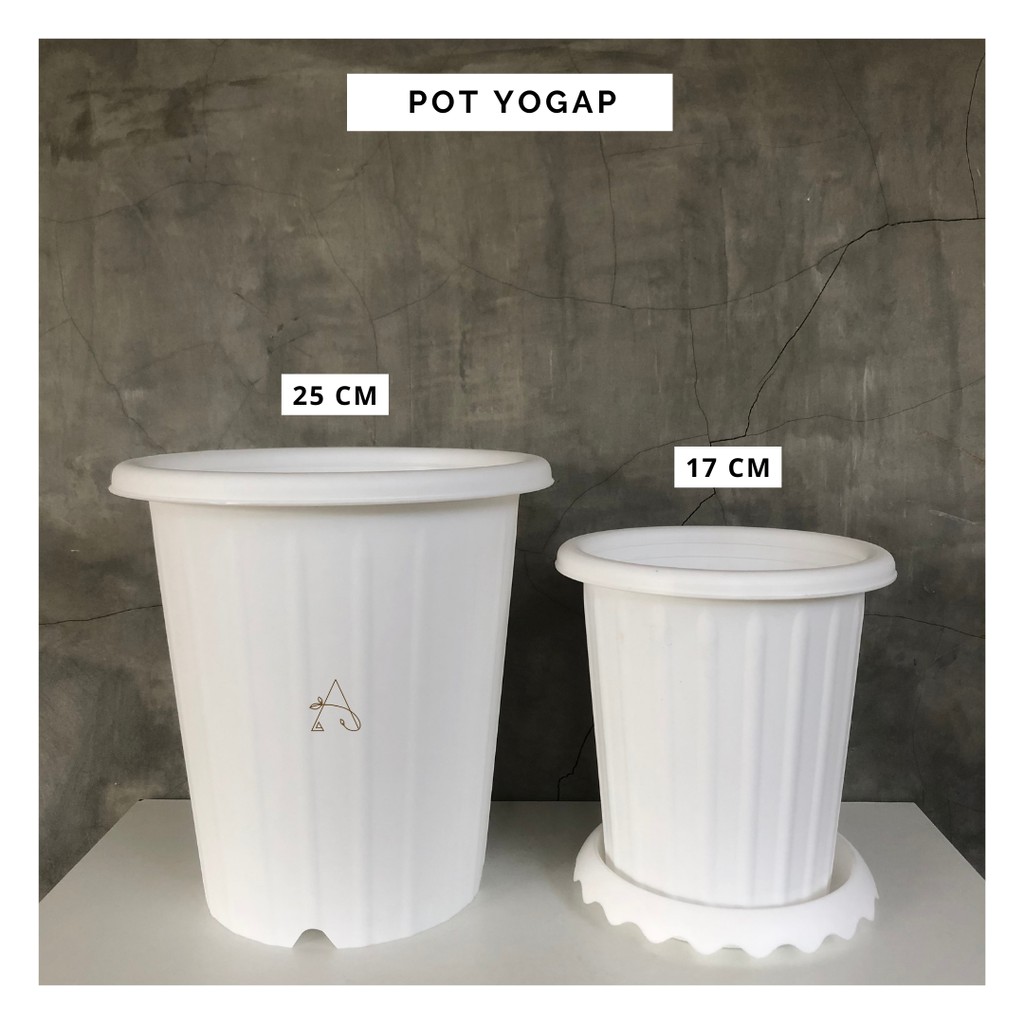 Jual Pot Yogap Putih D25 cm | Pot Plastik | Pot Tanaman Hias | Pot ...