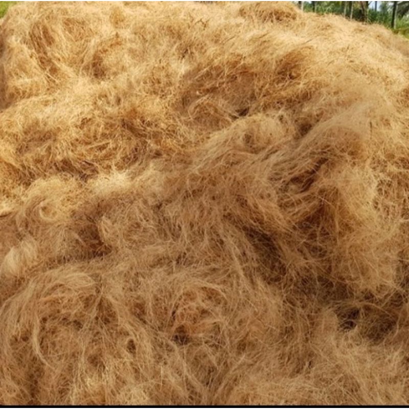 Jual sabut kelapa 1 kg coco fiber murah | Shopee Indonesia