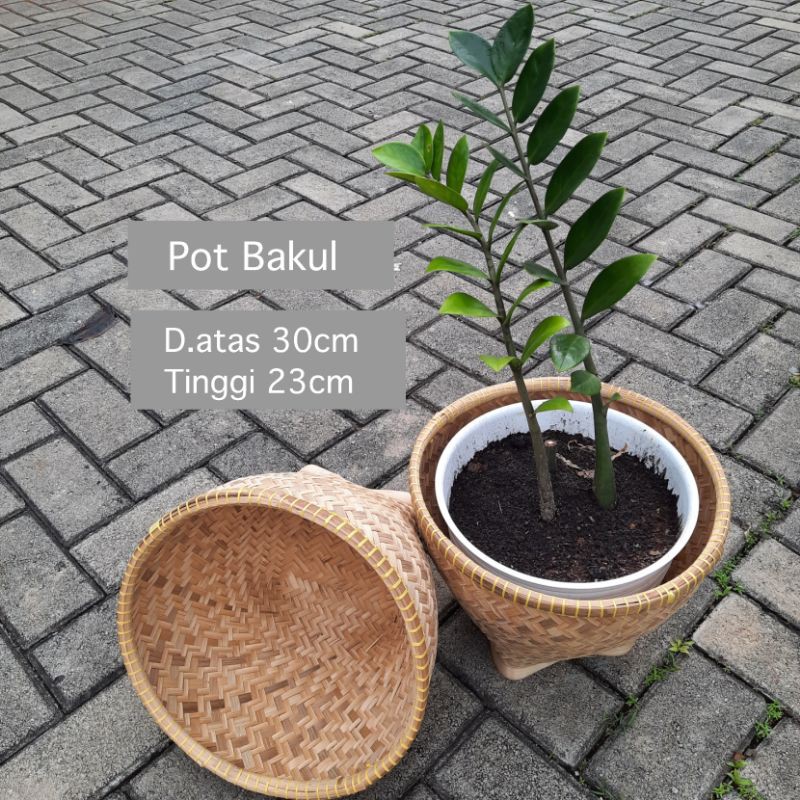 Jual Bakul Nasi Bambu / Boboko / Bakul Bambu / Keranjang Anyaman Bambu ...
