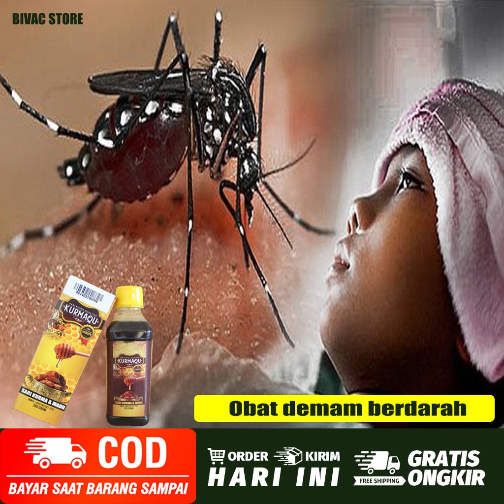 Jual obat DBD ( Solusi Obat DBD Demam Berdarah dan Penambah Darah ...
