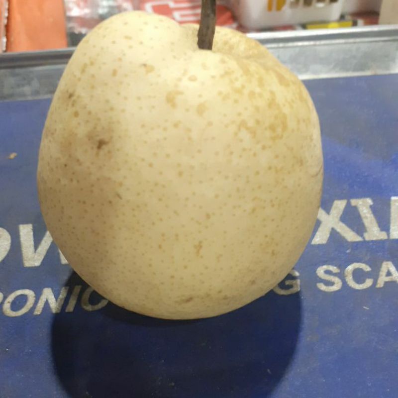 Jual Buah Pir Madu | Shopee Indonesia