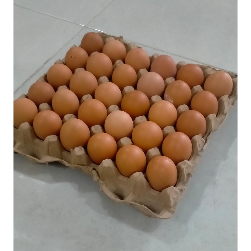 Jual Telur Ayam Negeri /KG (isi 15-17 butir) | Shopee Indonesia