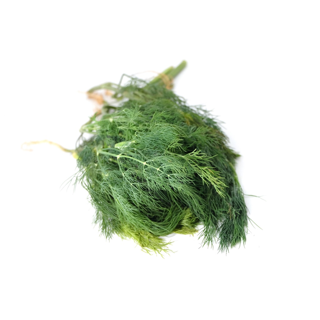 Jual Plagro - Daun Dill Daun Adas Sowa Daun Adas Manis Organik 50 Gr ...