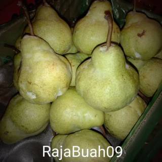 Jual Buah Pir Hijau / Pear Pakham / Pir Jambu Murah 1kg Fresh | Shopee ...