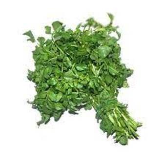 Jual SELADA AIR 1KG | Shopee Indonesia