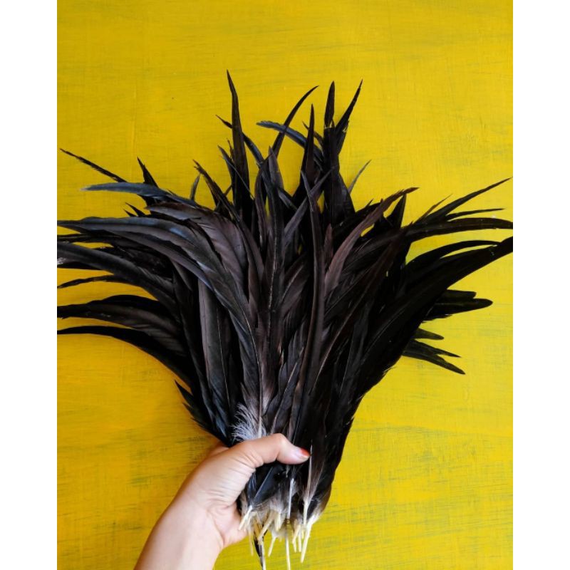 Jual PROMO TERKINI Lancur bulu ayam warna hitam 1bungkus isi 100biji ...