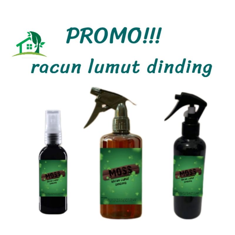 Jual racun lumut dinding praktis tidak perlu capai mebersikan dengan ...