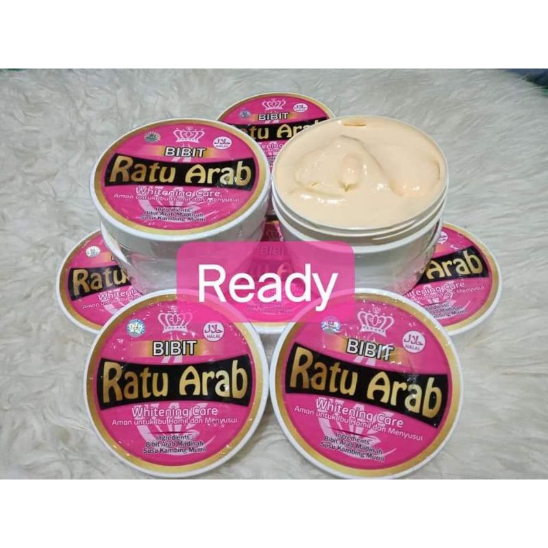 Jual BIBIT RATU ARAB ORI 100% | Shopee Indonesia