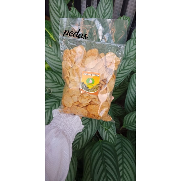 Jual CITRUK KHAS TASIK / MAKANAN KHAS TASIK / CITRUK GURIH RENYAH ASLI ...