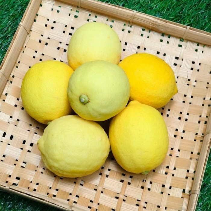 Jual Lemon Lokal Segar | Shopee Indonesia