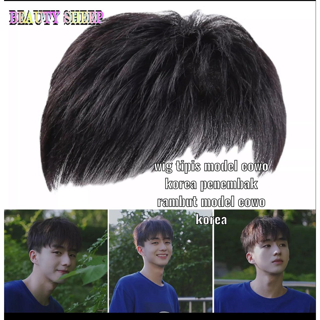 Jual wig tipis model cowo 001 korea penebal rambut model cowo korea ...